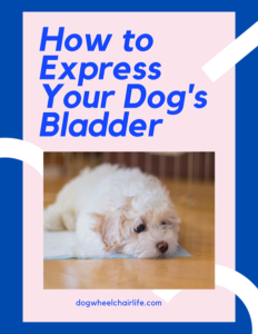 Dog Wheelchair Life - Free Resource Guides