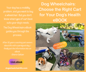 Learning How to Express Your Dog's Bladder