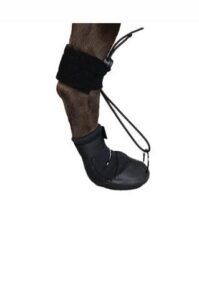 Understanding Knuckling in Dogs and Proprioception - Dog Wheelchair Life